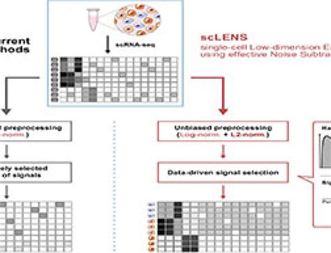 An Integrative Method To Normalize Rna Seq Data Rna Seq Blog