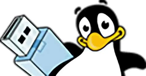 Ubuntu Installer Not Detecting Hard Drive Pendrive Linux