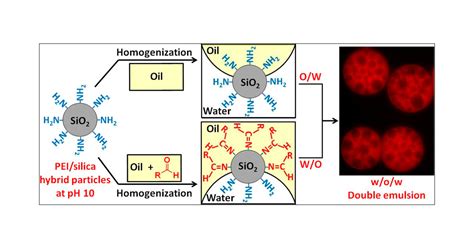 Preparation Of Double Emulsions Using Hybrid Polymersilica Particles New Pickering Emulsifiers