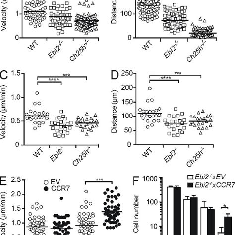 Rank And Rank Signaling Dependent Gene Expression In Ebi2 Deficient Download Scientific Diagram