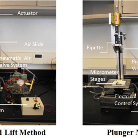 Manual Protein Spotting For A Six Protein Mixture Download Scientific Diagram