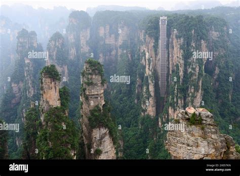 Sandstone Pillars Rise Above The Lush Forest Of Zhangjiajie National