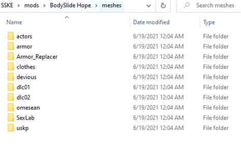 BodySlide CBBE BA Issues Technical Support Skyrim Special Edition LoversLab