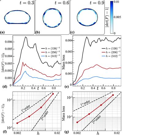 figure c 11 convergence of incompressibility errors inside the solid