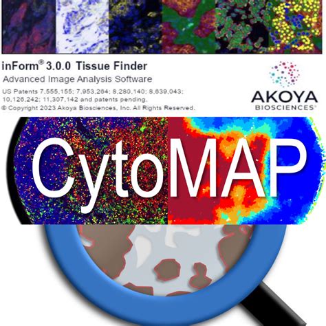 Akoya Spatial空間生物學分析方案 Informqupathcytomap 《博克科技》專業服務‧誠心以赴 Always