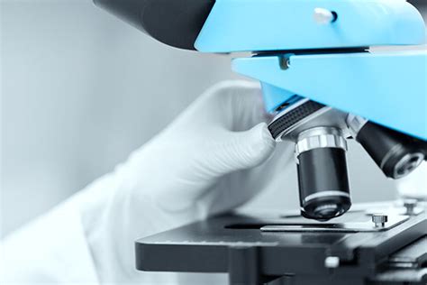 생물정보학 서울대학교 천종식 교수님과의 인터뷰 News And Notice Boards Laboratory Of Evolutionary Bioinformatics