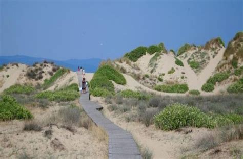 Природна забележителност „Пясъчни дюни“ Държавно ловно стопанство НЕСЕБЪР