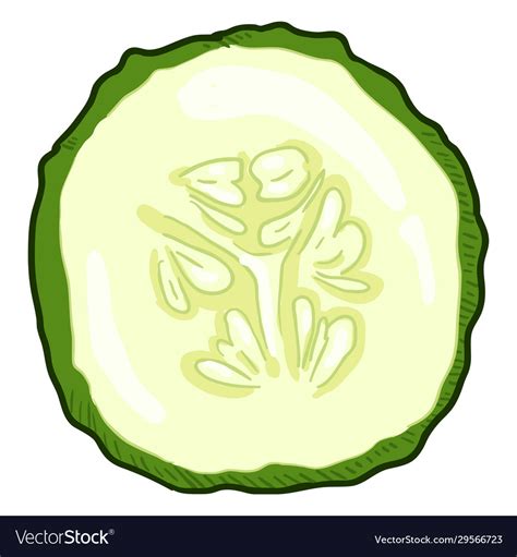 Cartoon Round Slice Cucumber Royalty Free Vector Image