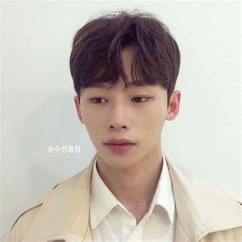 男生髮型에 있는 핀