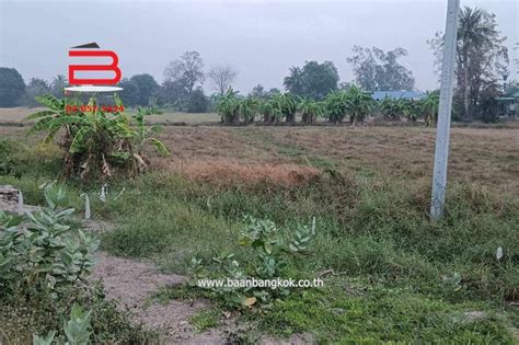ที่ดินเปล่า หนองผักนาก สามชุก สามแยกวัดหนองโรงรัตนาราม เนื้อที่ 8 1 80 ไร่ ต หนองผักนาก อ สามชุก