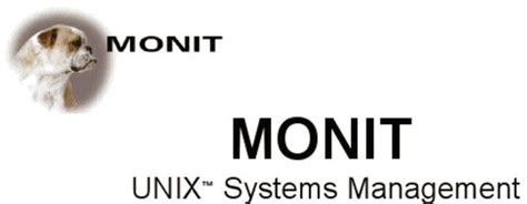 Monit Controllare Il PC Od Il Server