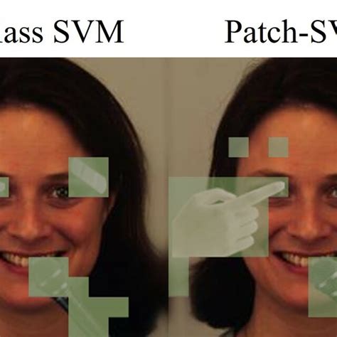Occlusion Patch Classification Results Download Scientific Diagram