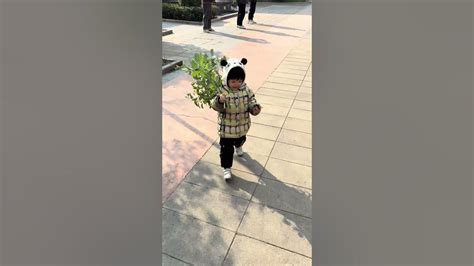 记录宝宝成长，宝宝扛着树枝前行，宝宝34个月 Youtube