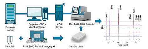 Highly Reproducible Rna Analysis On The Biophase 8800 System Using The