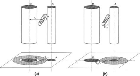 Table 1 From Analysis Of Equatorial X Ray Diffraction Patterns From Muscle Fibers Factors That