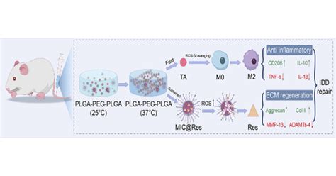 Application Of An Injectable Thermosensitive Hydrogel Drug Delivery