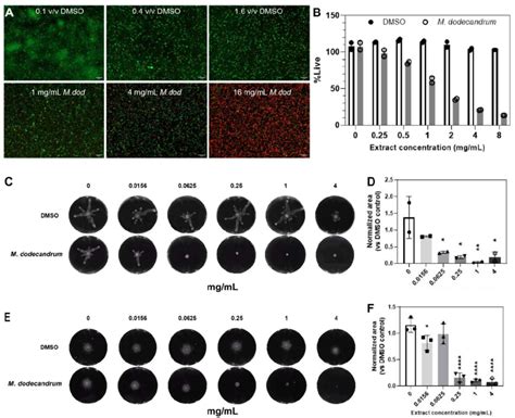 Viability Swimming And Swarming Analysis If Pseudomonas A Confocal Download Scientific