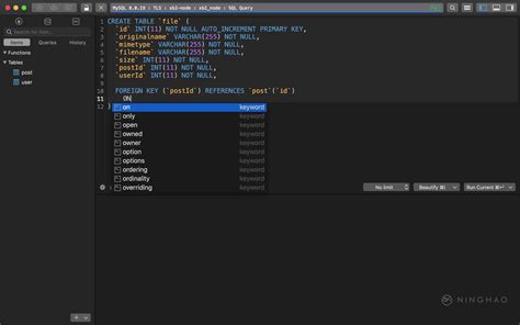 创建存储文件信息数据表 Node js 服务端应用开发上传文件 宁皓网