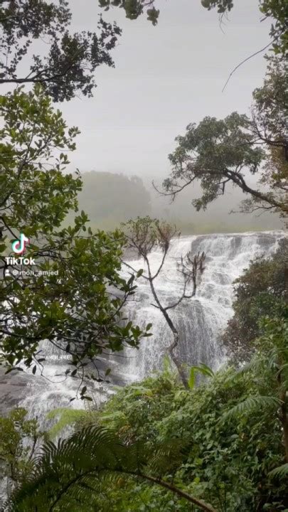 Mhm Rumman Posted On Linkedin