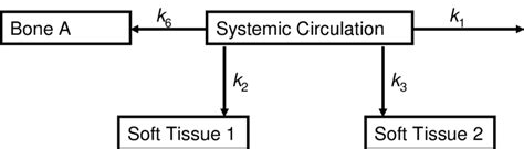 9 Biokinetic Model For Uranium Download Scientific Diagram