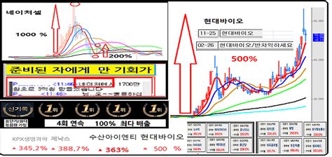 흐름 정밀함의 차이 시장4상中2상 폭발 투자전략 투자정보 전문가방송 팍스넷 증권포털