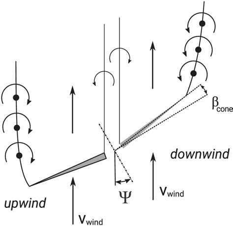 Sketch Of A Typical Wind Turbine Wake Under Yawed Conditions Adapted