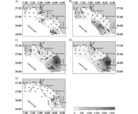 Spatial Distribution Of Prochlorophytes A Synechococcus B Download Scientific Diagram