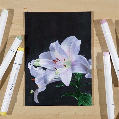 How To Draw Lily Flowers Step By Step