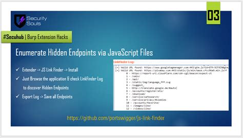 Secuhub Burp Extension Hacks Security Souls
