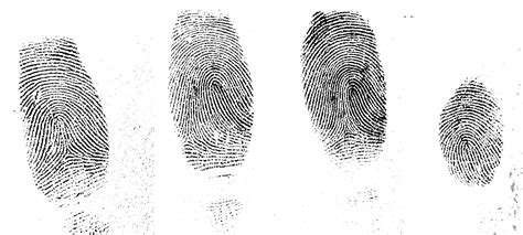 Evidence Forensic Science