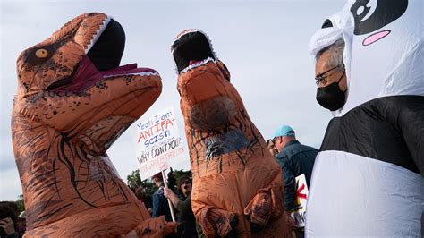 Why Do People Wear Inflatable Costumes To No Kings Protests