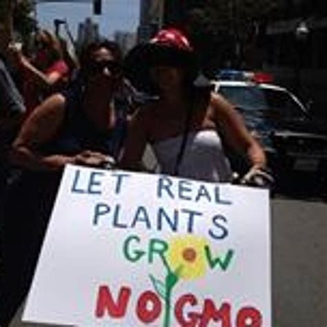 Stream Delia Diaz Avila Music Listen To Songs Albums Playlists For