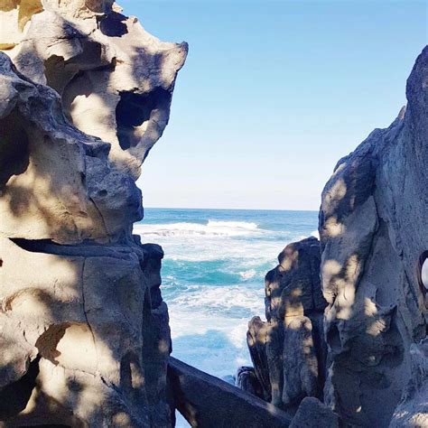 조이일상뷰티패션여행먹방 인테리어 제품협찬 주부생활 홈캉스백 시즌45가 도착했어요 블랙색상 스타일러홈캉스백도 완전 예뻐요 시원하게 목을 적셔줄 티로그