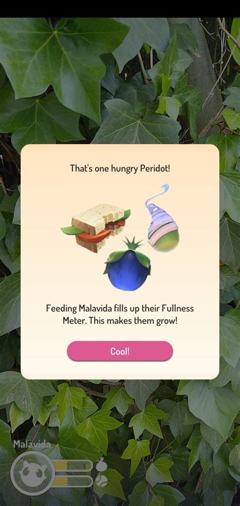 Peridot APK Download For Android Free