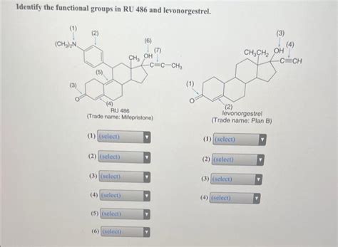 Solved Identify The Functional Groups In Ru 486 And