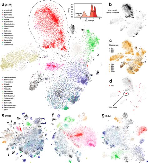 Illustration Of Metagenomic Contig Clustering Pattern And Binning Download Scientific Diagram