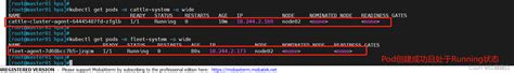 【云原生 kubernetes篇】hpa 与 rancher管理工具 rancher hpa csdn博客