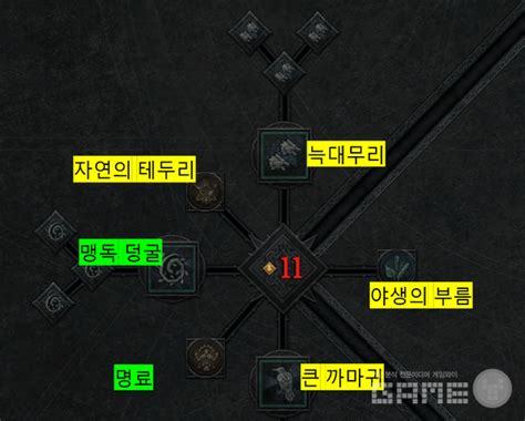 Ctrlf만 눌러 찾자디아블로4 드루이드 스킬기술트리 찾기 나무뉴스