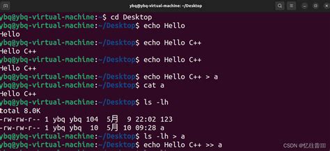 【常用 Linux 命令的基本使用】总结篇（附必要的 Ubuntu 截图）在 Ubuntu 终端用命令查看表大小写配置并截图 Csdn博客