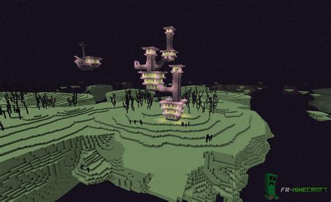 Minecraft Biome Terres Hautes De L End