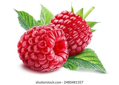 Million Raspberry Royalty Free Images Stock Photos Pictures Shutterstock