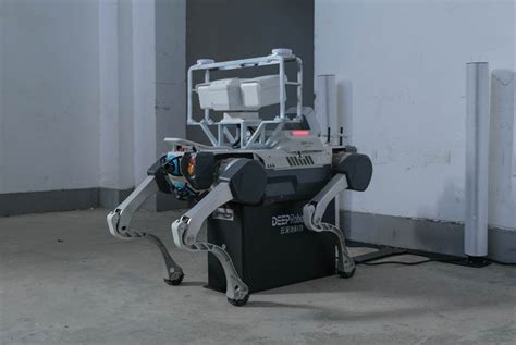 Deep Robotics Pioneering Innovation And Applicatio