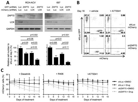 e2a pbx1 remodels oncogenic signaling networks in b cell precursor