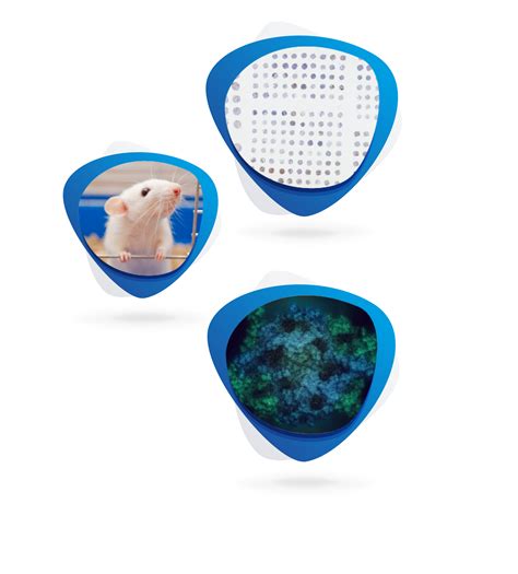 Biomarker Detection PharmaLegacy Preclinical Pharmacology CRO