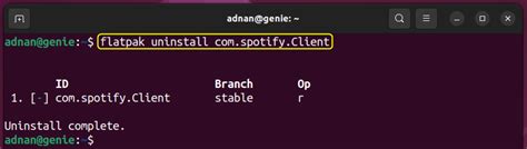 How To Remove Uninstall Packages On Ubuntu Linux Genie