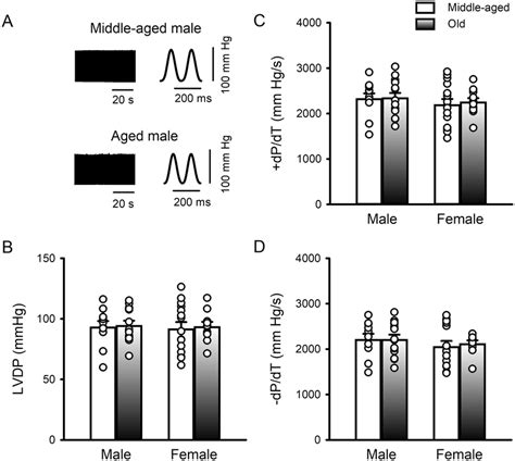 Left Ventricular Contractile Function Was Similar In Hearts From