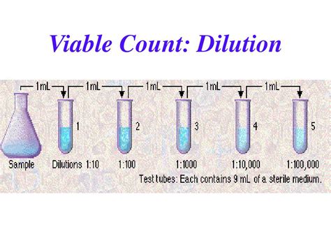 Ppt Chapter4 Microbial Growth Powerpoint Presentation Free Download
