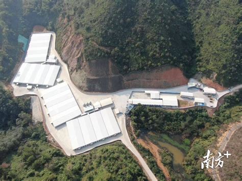 探访肇庆现代化养猪场： 二师兄”住上了智能精装房猪舍饲料处理