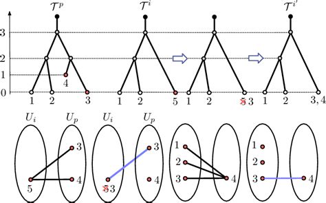 figure 1 from a structural average of labeled merge trees for