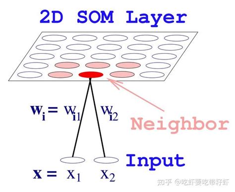 自组织映射self Organizing Maps Som 知乎 自组织映射self Organizing Maps Som 知乎